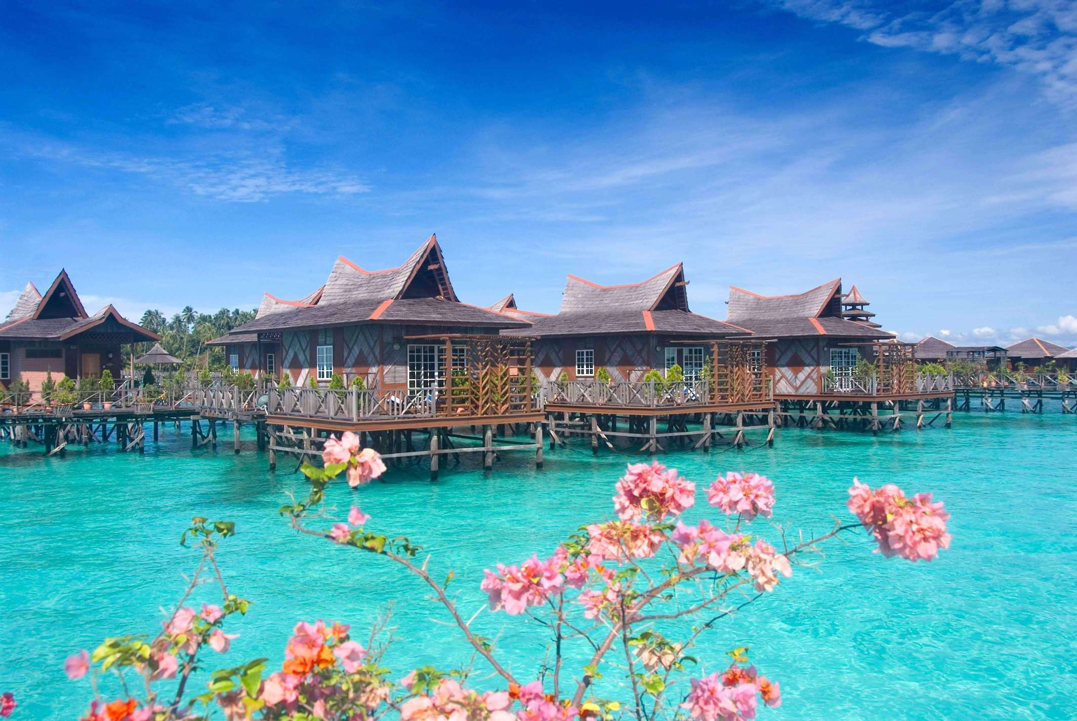 SyokNya Travel | Agensi Pelancongan Malaysia